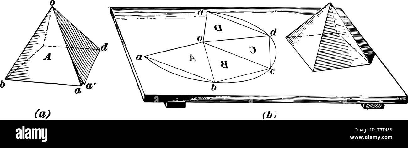 The image shows the development of a pyramid. When the paper covered ...