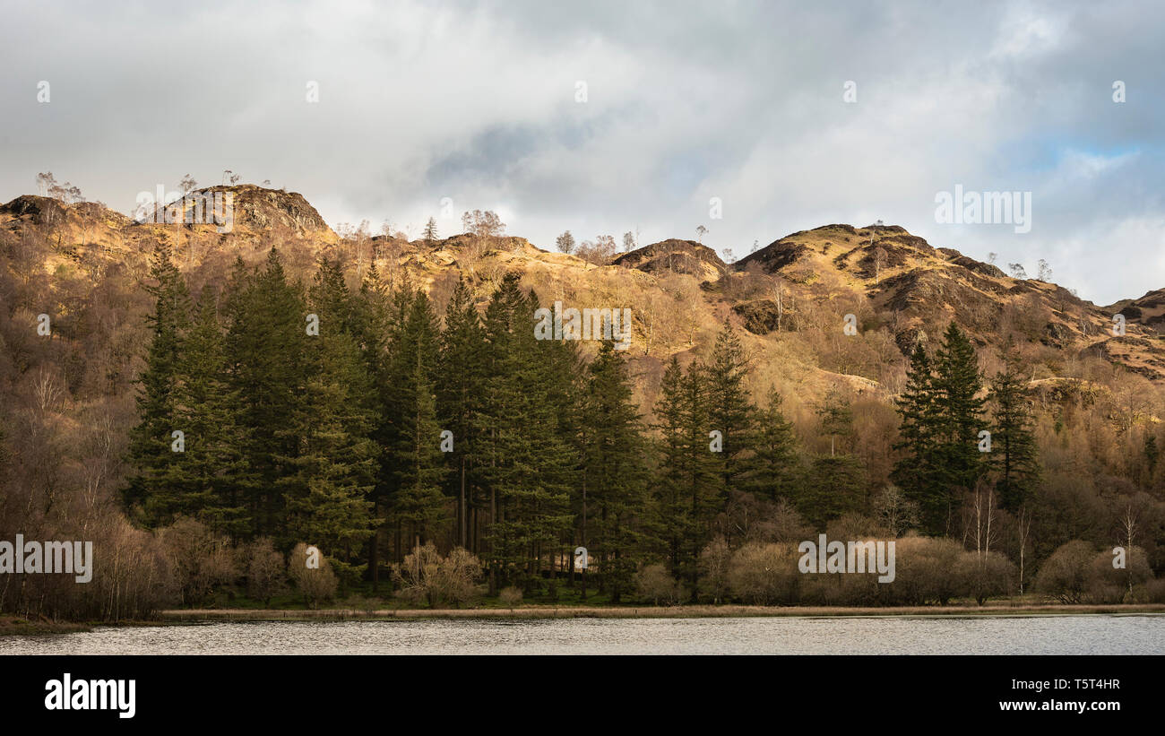 Beautiful sunrise landscape image of Yew Tree Tarn in Lake District ...
