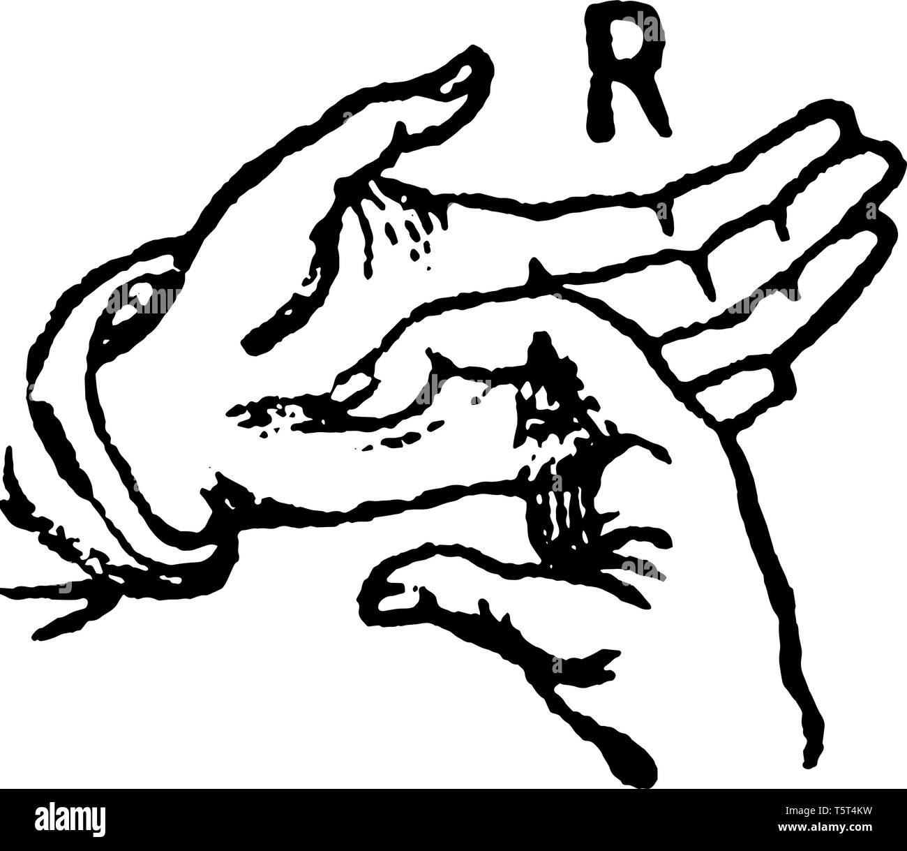 This image shows the two-hand sign for R, vintage line drawing or ...