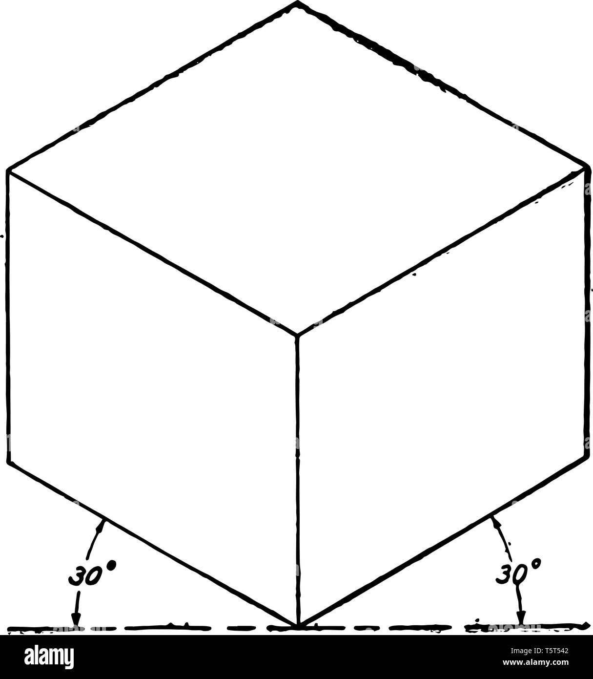 The image shows the isometric of a cube. One of the vertices is touched ...