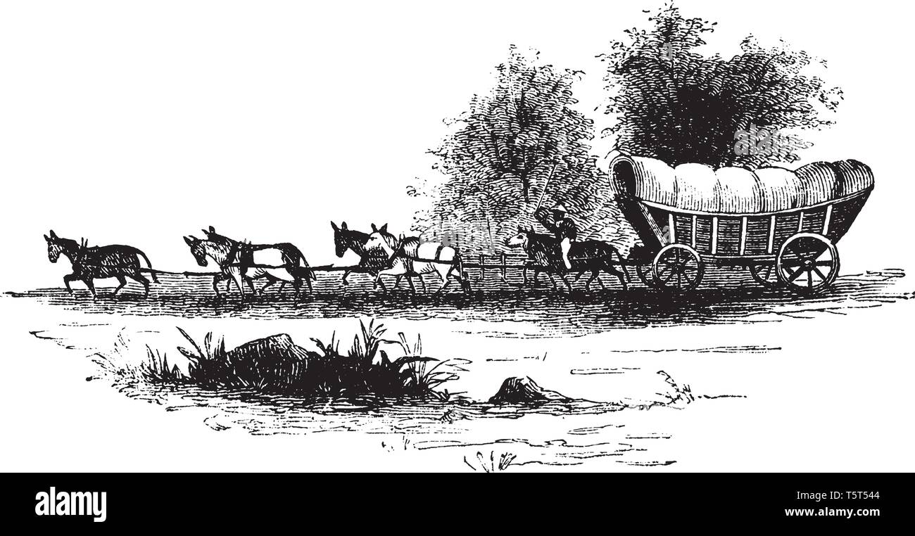 Four wheeled wagon Stock Vector Images - Alamy