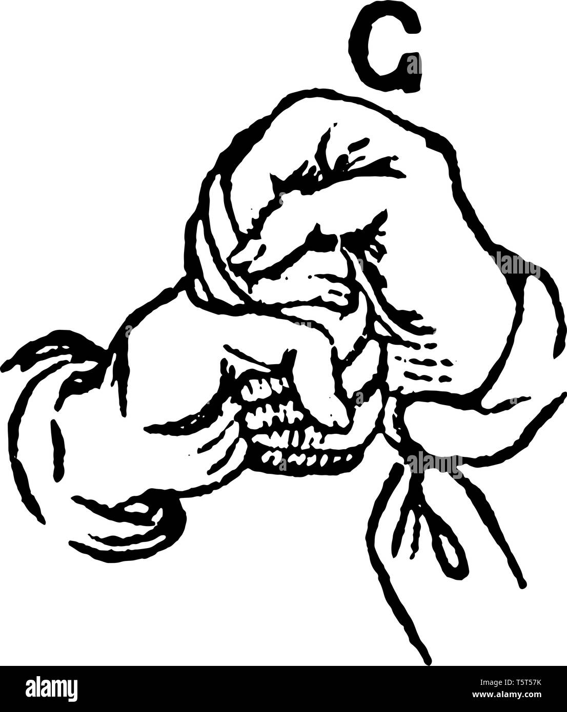 This image shows the two-hand sign for G, vintage line drawing or ...