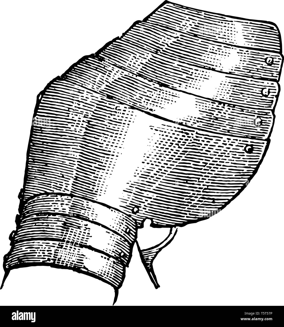 Epaulet especially when small and fitting closely to the person ...