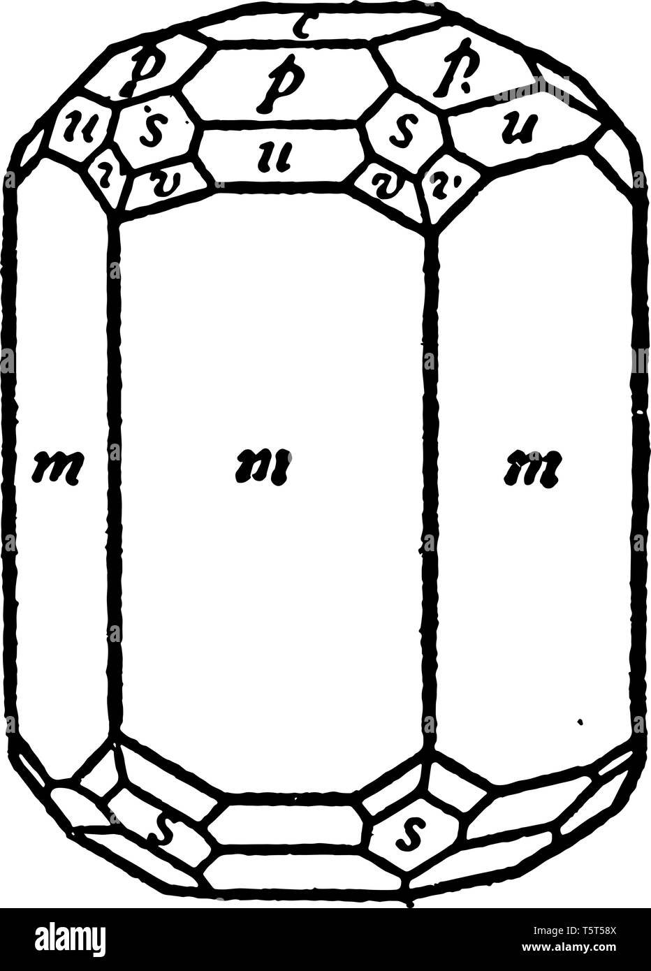 Hexagonal forms Stock Vector Images - Alamy