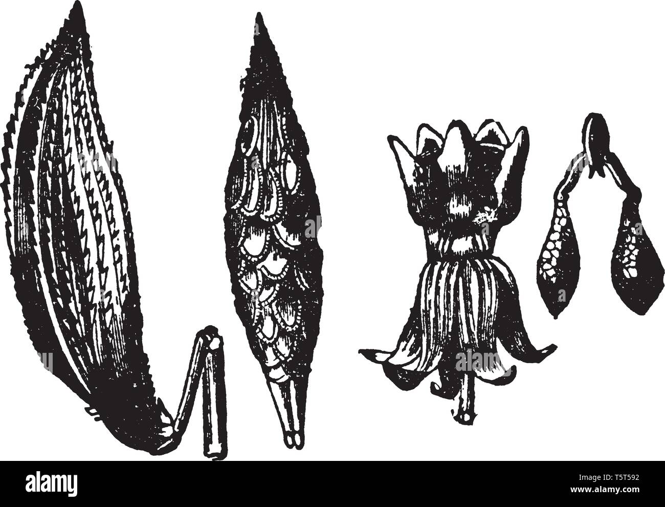 What to see in america Stock Vector Images - Alamy