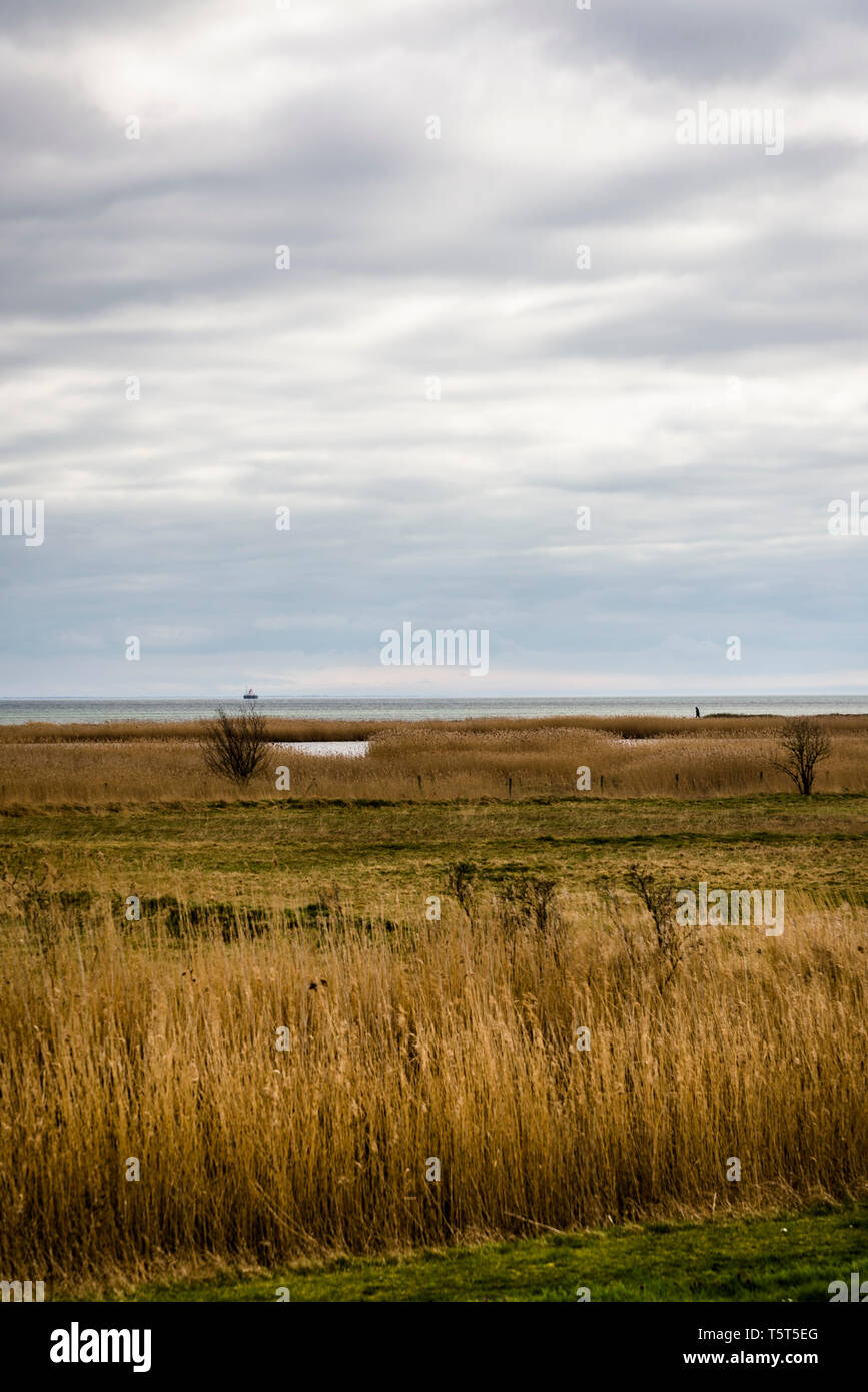 Marshland historical hi-res stock photography and images - Alamy