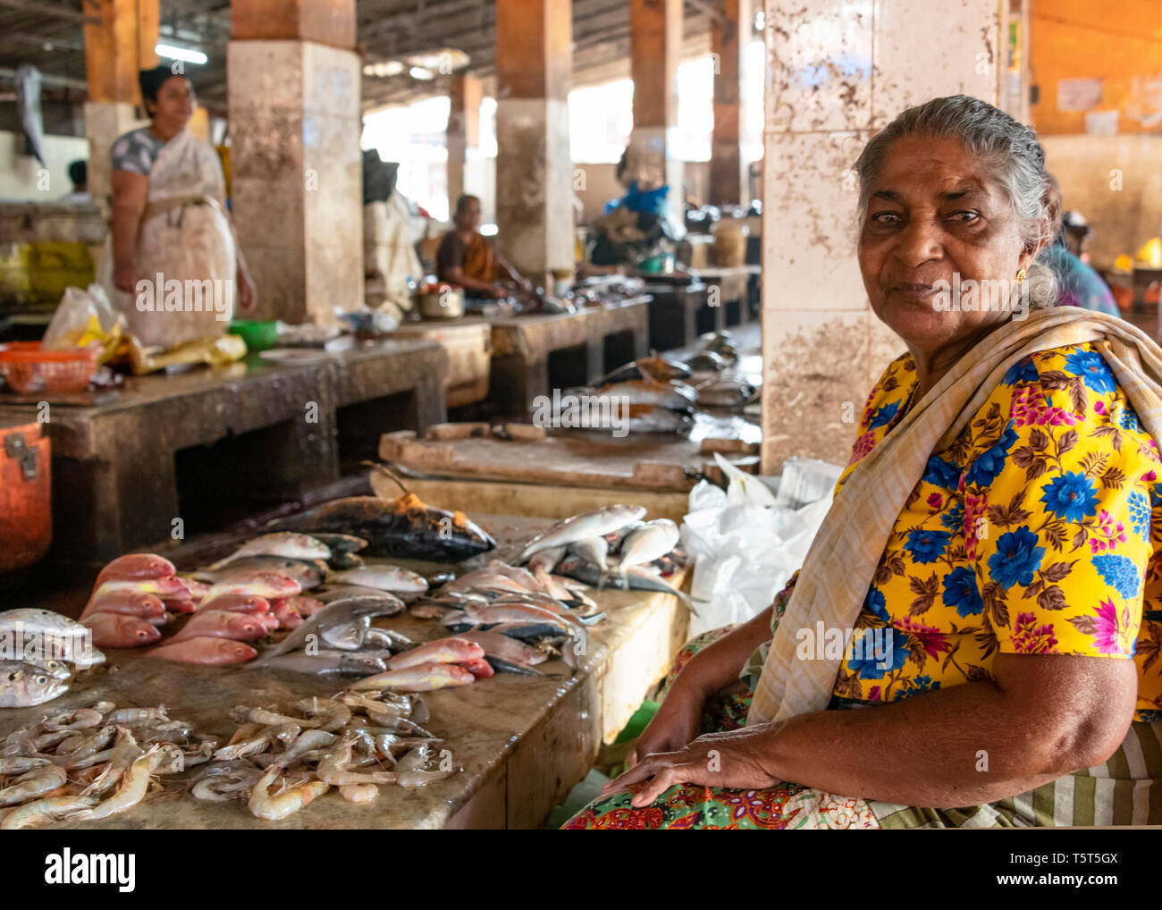 Horizontal portrait of a lady selling fish at the wet market at Palayam ...