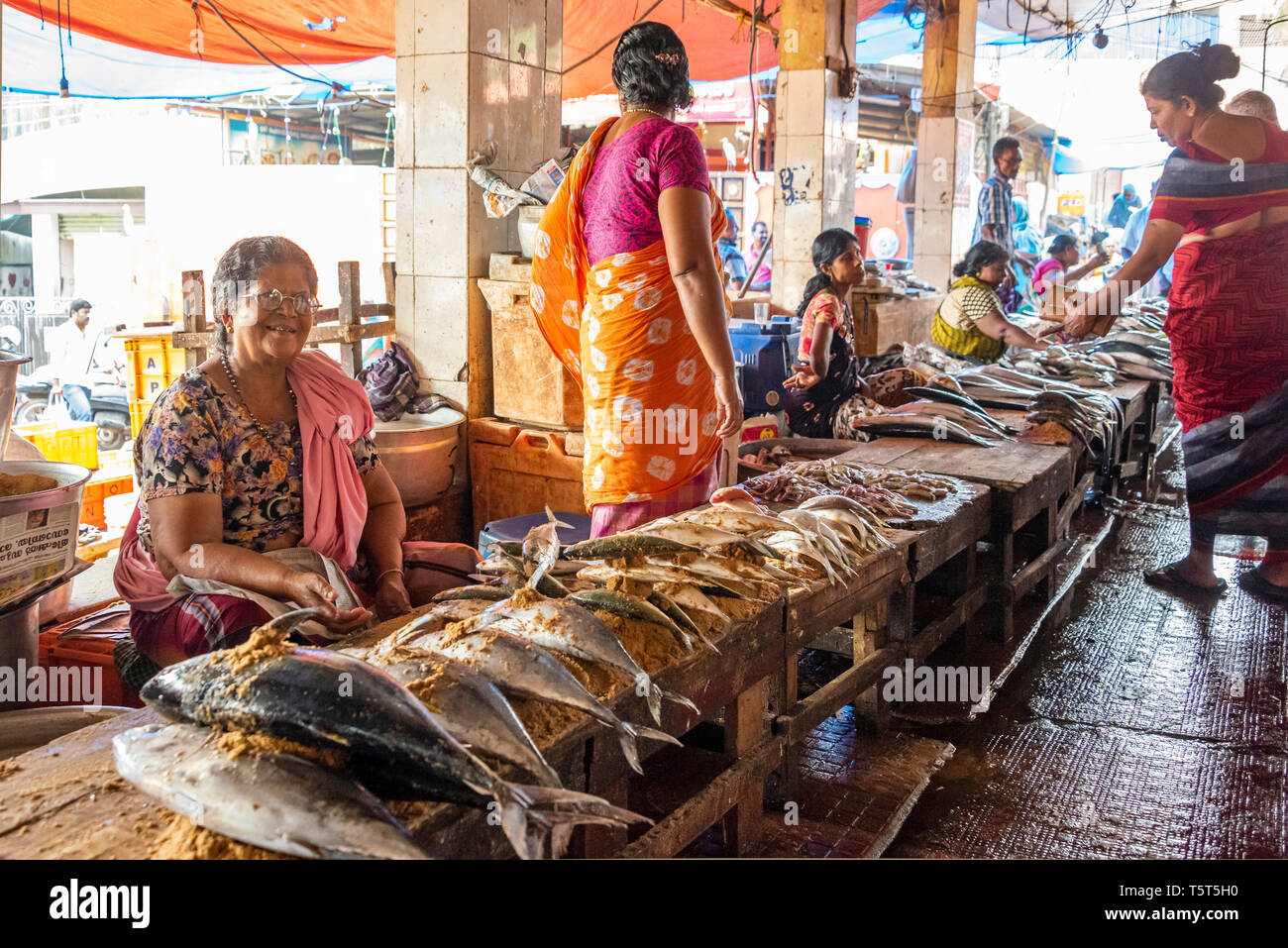 Horizontal view of the fish stands at the wet market at Palayam in ...