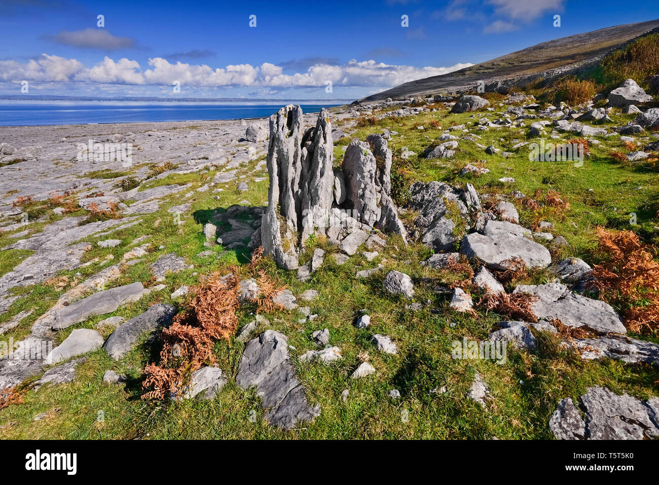 Ireland, County Clare, The Burren, General view of the rocky limestone ...