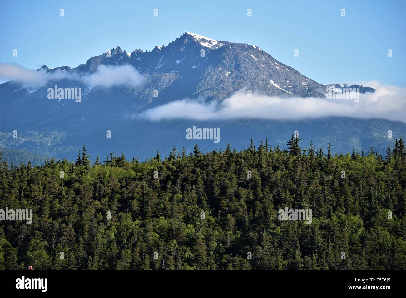 Beautiful Alaskan wilderness in all of its glory Stock Photo - Alamy