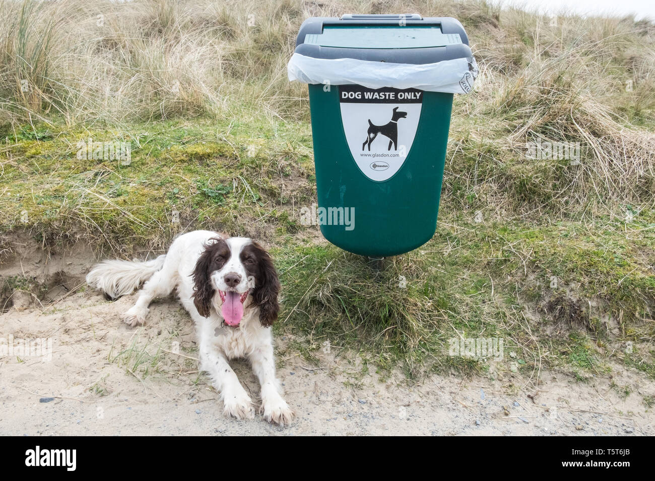 Human poo hi-res stock photography and images - Alamy