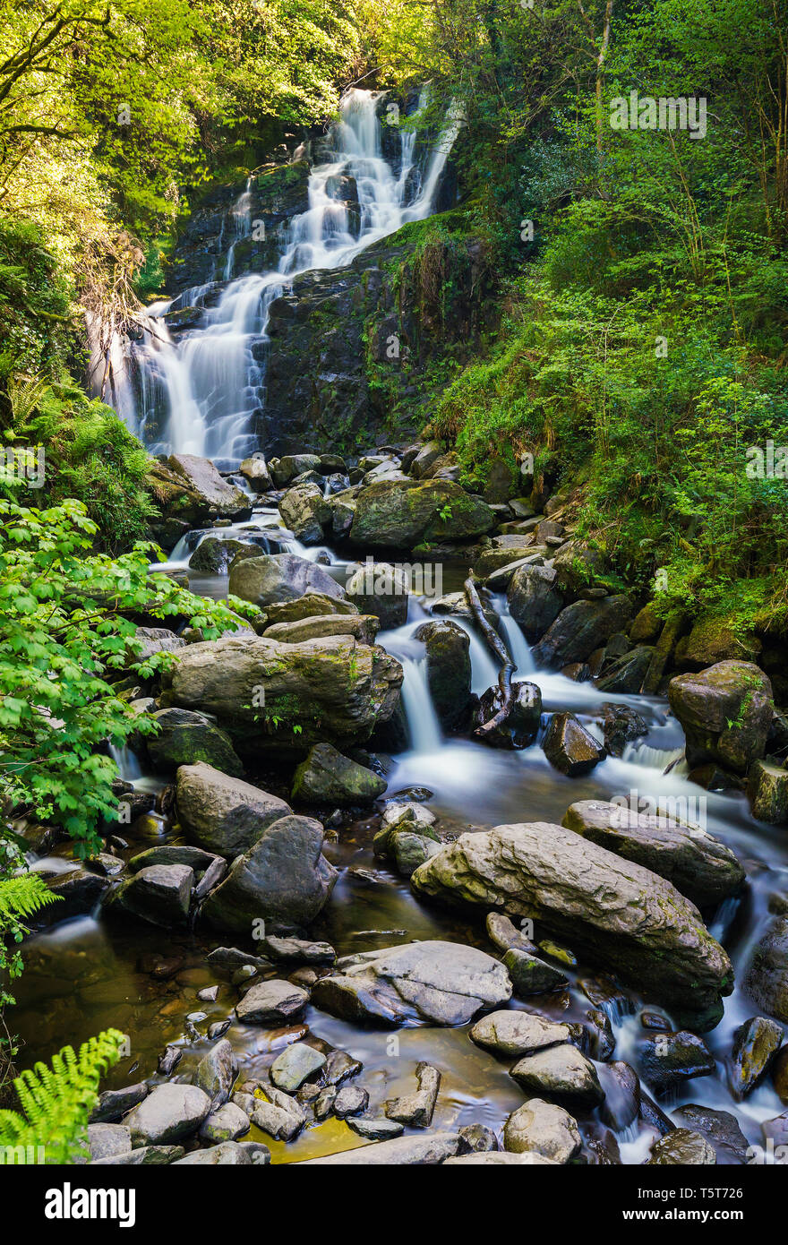The Torc waterfalls in the Killarney National Park, Ireland Stock Photo ...