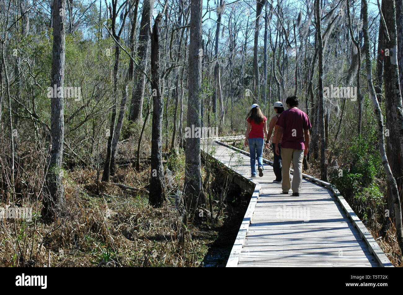 Louisiana bayou people hi-res stock photography and images - Alamy
