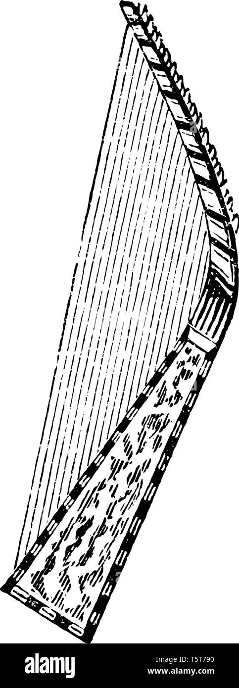 Harp is a stringed musical instrument that has a number of individual ...