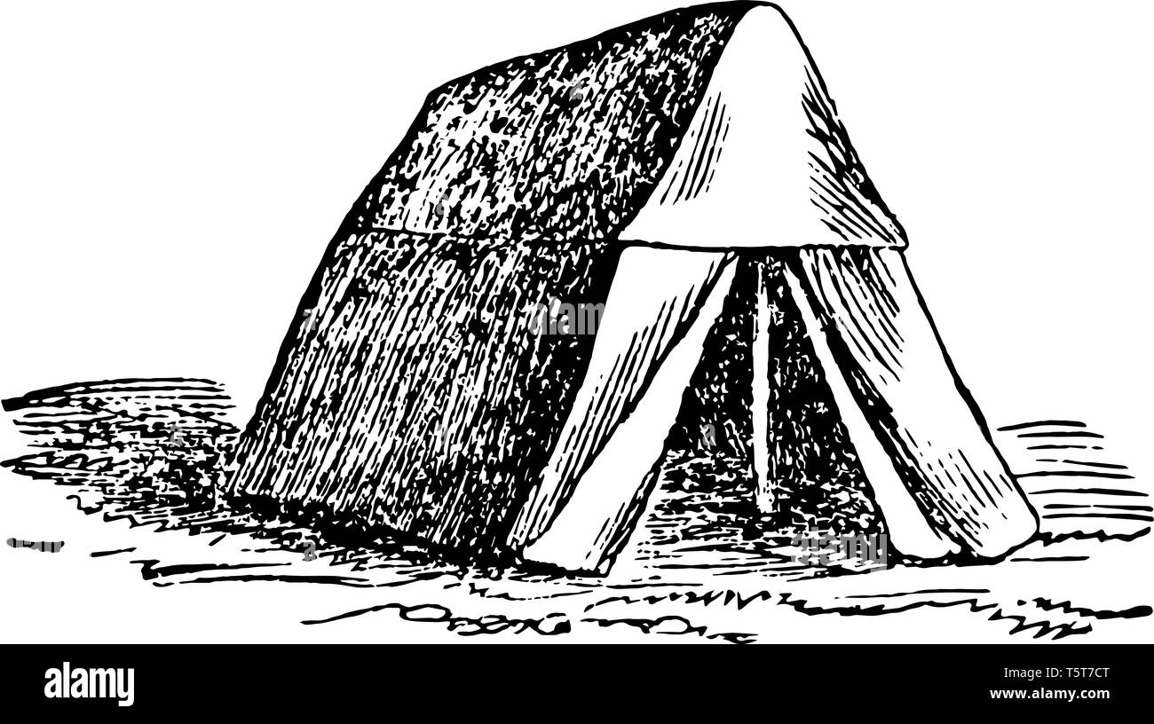 This is the image of the Roman Shop. It is made using the canvas or ...