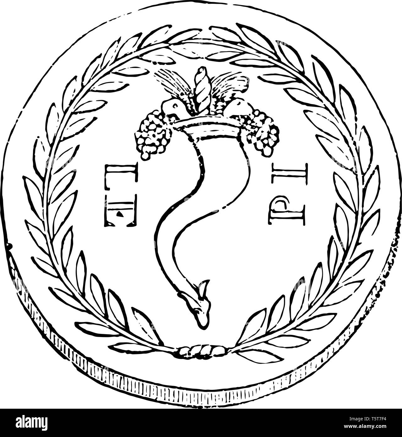 Olive vines Stock Vector Images - Alamy