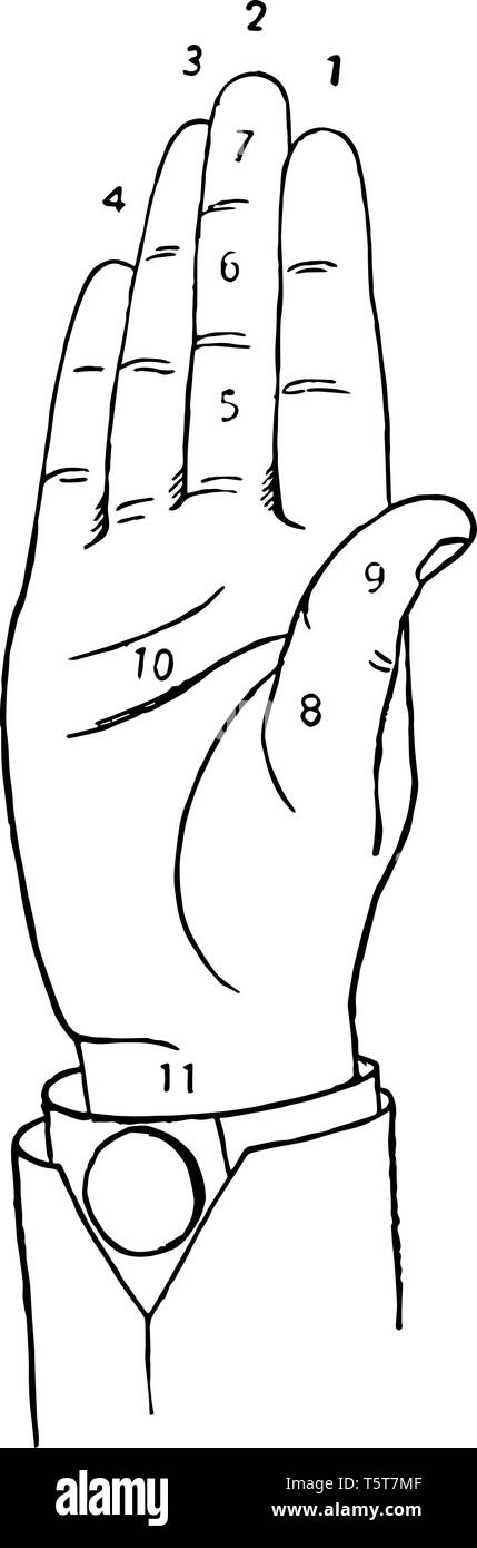 This illustration represents Explanatory Diagram, vintage line drawing ...