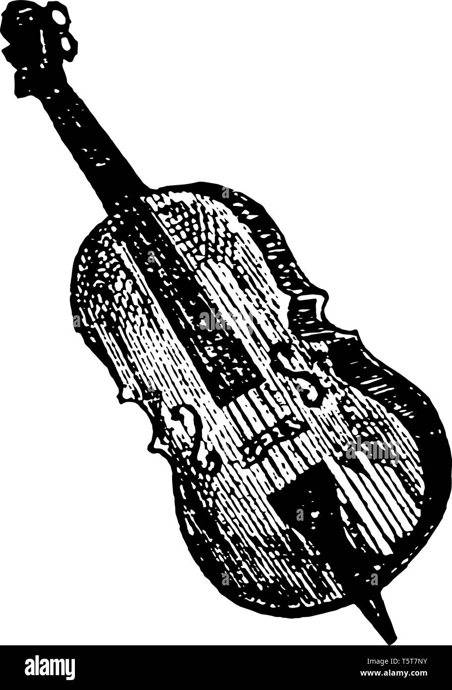 Bass violin used for playing the bass, vintage line drawing or ...