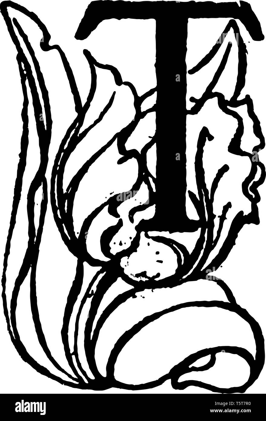A picture of decorative capital letter T with a floral background ...