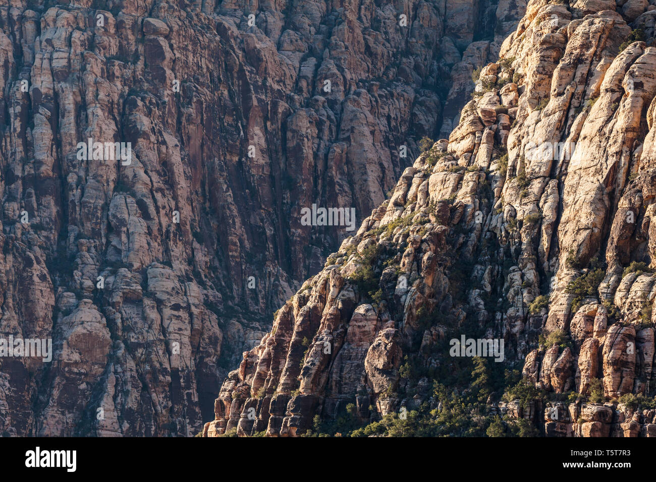 The canyon walls at the entrance to Ice Box Canyon, Red Rock Canyons ...