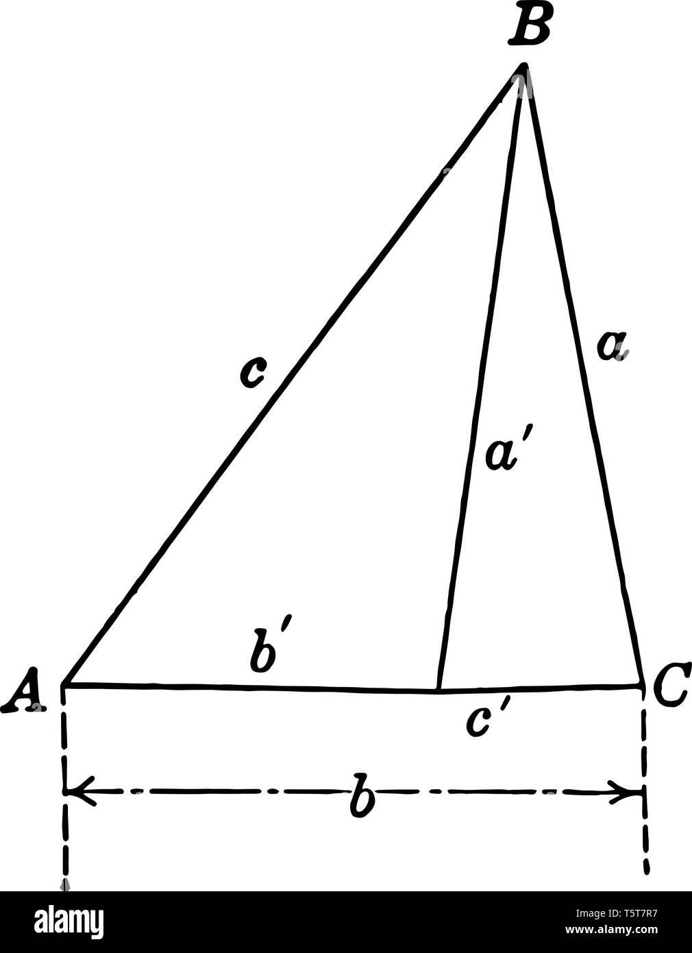 This image consists of two triangles. These two triangles are abc and ...