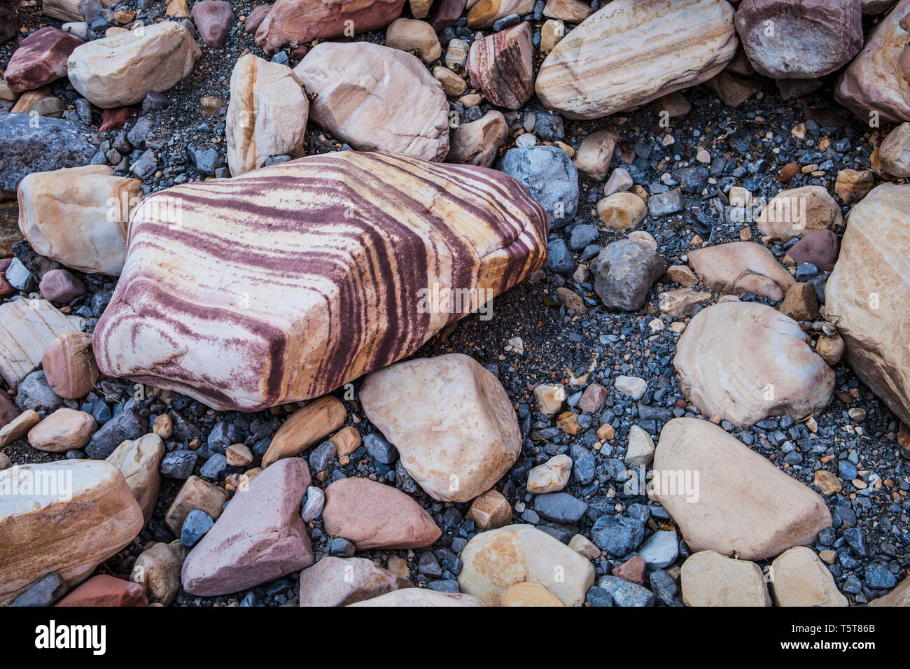 Colored stones in the bottom of a dry wash, Pine Canyon, Red Rock ...