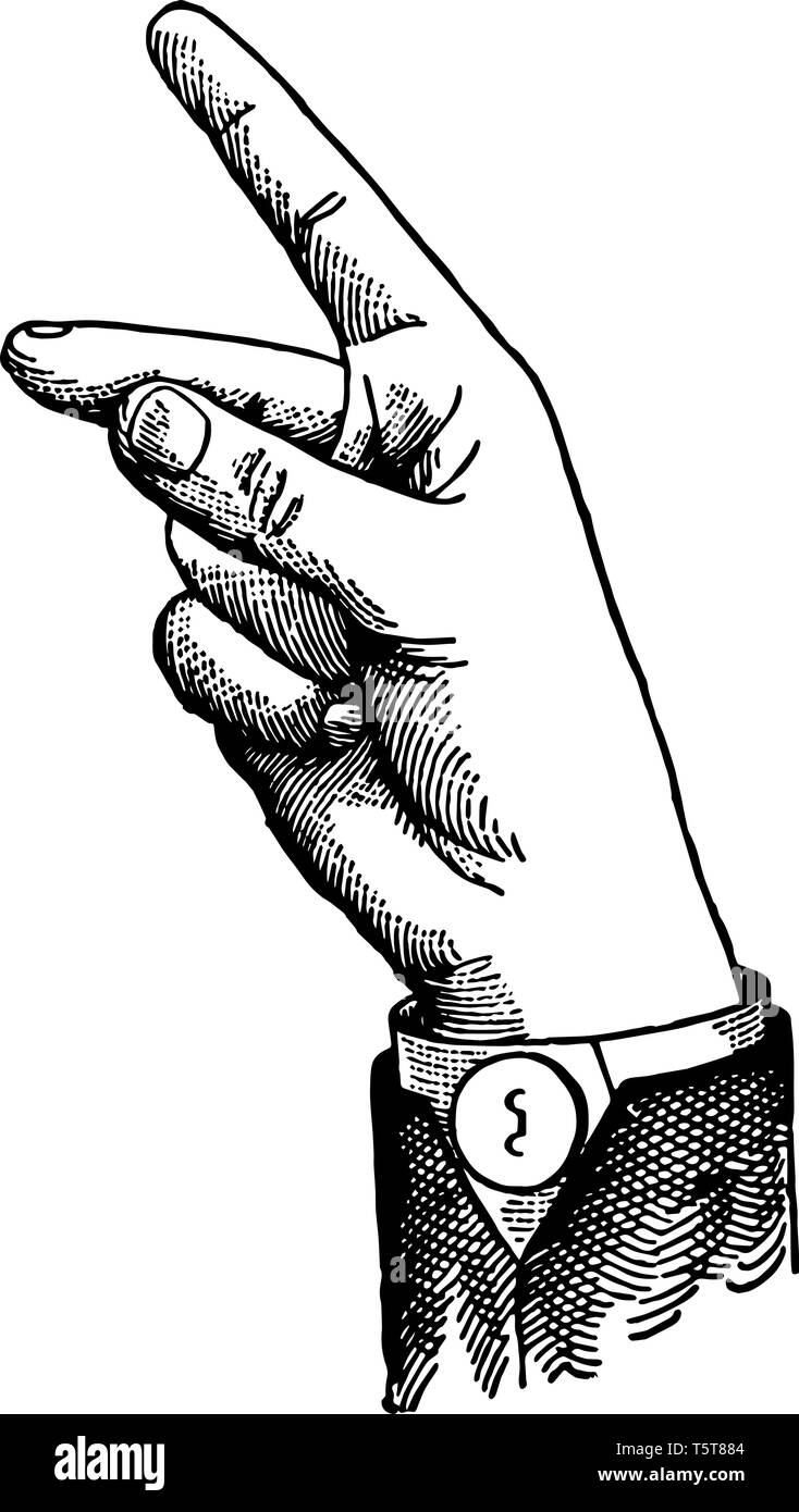 Indicated Mid Wide Back Glide Indicated positions are distinguished by ...