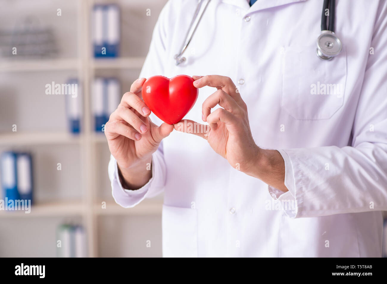 Male doctor cardiologist holding heart model Stock Photo - Alamy