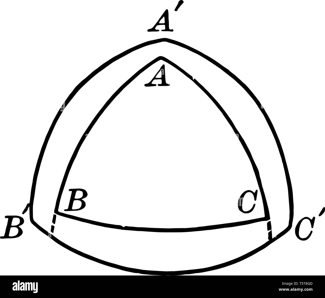 An image of spherical polar and triangles together from a sphere ...