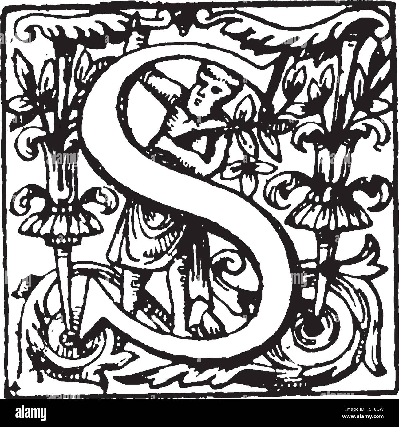 An ornamental and decorative letter S, vintage line drawing or ...