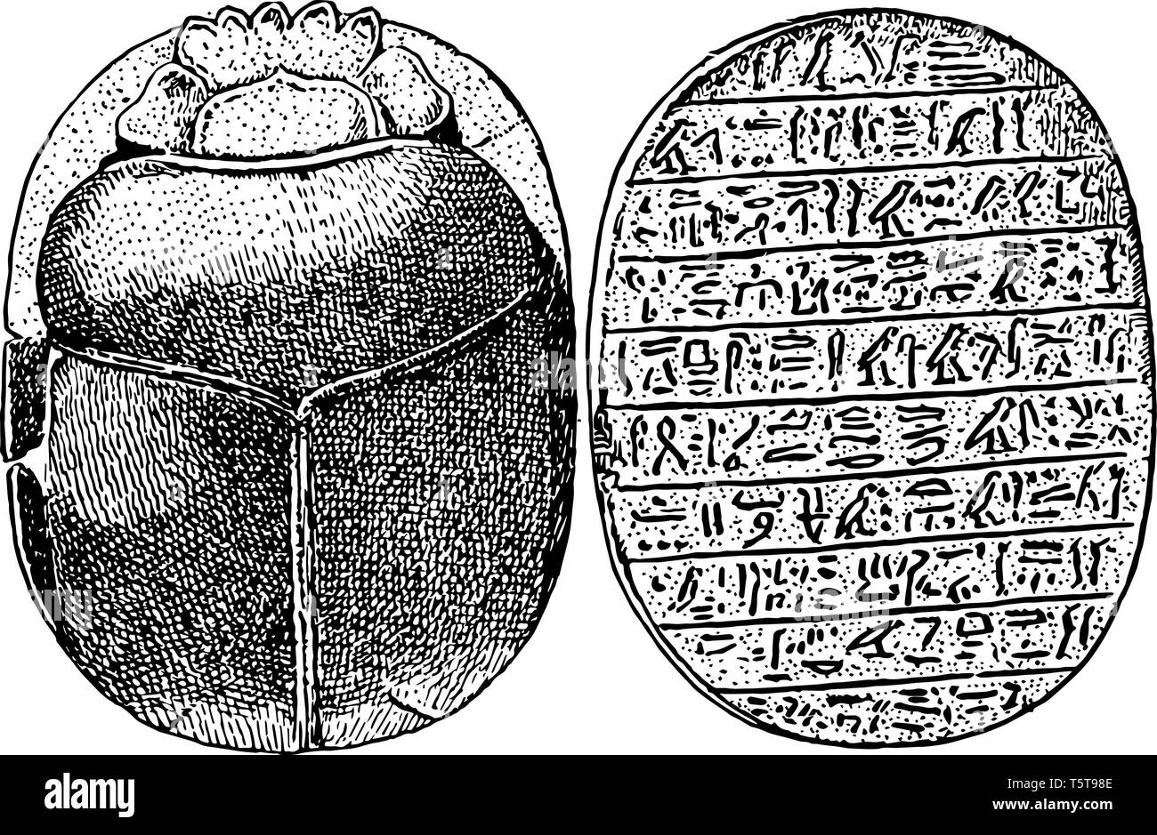 The impression seal in Ancient Egypt called Scarab, vintage line ...
