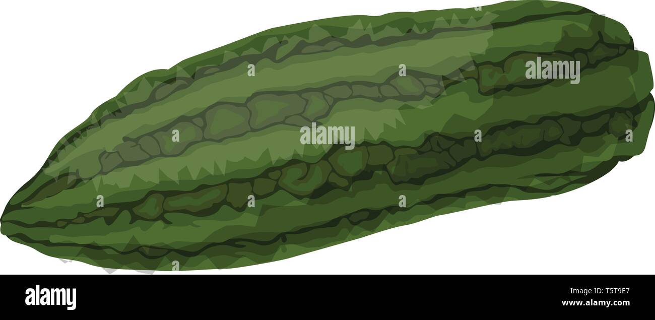 Bitter gourd vegetables Stock Vector Images - Alamy
