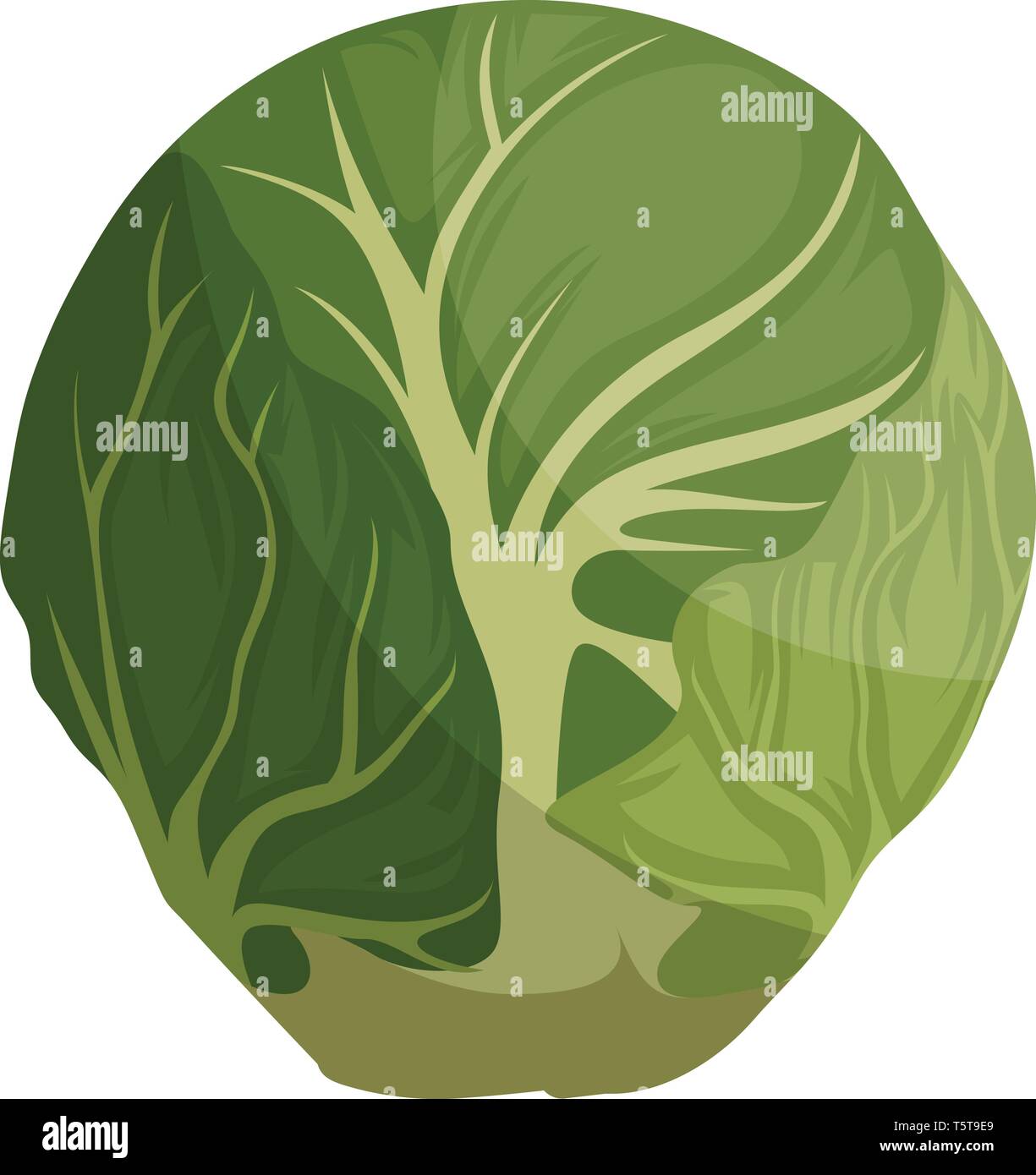 Green brussel sprout cartoon vector illustration of vegetables on white ...