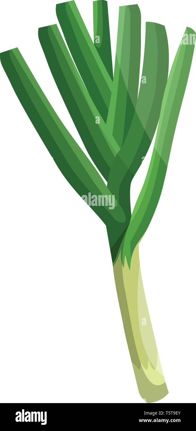 Light green leeks with dark green leafs vector illustration of ...