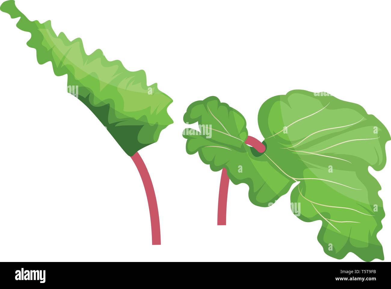 Rhubarb sign Stock Vector Images - Alamy