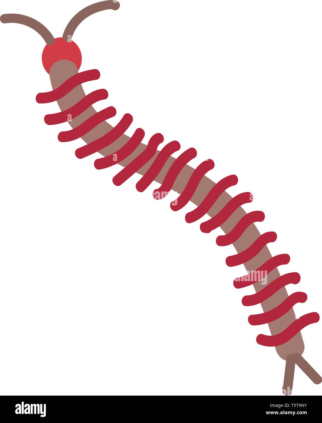 Simple vector illustration of a brown and red centipede on white ...