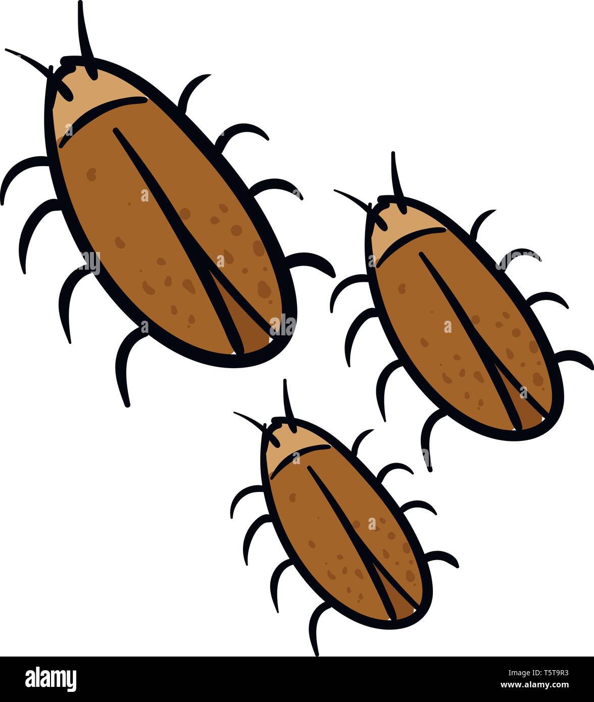 Three brown cockroaches vector illustration on white background Stock ...