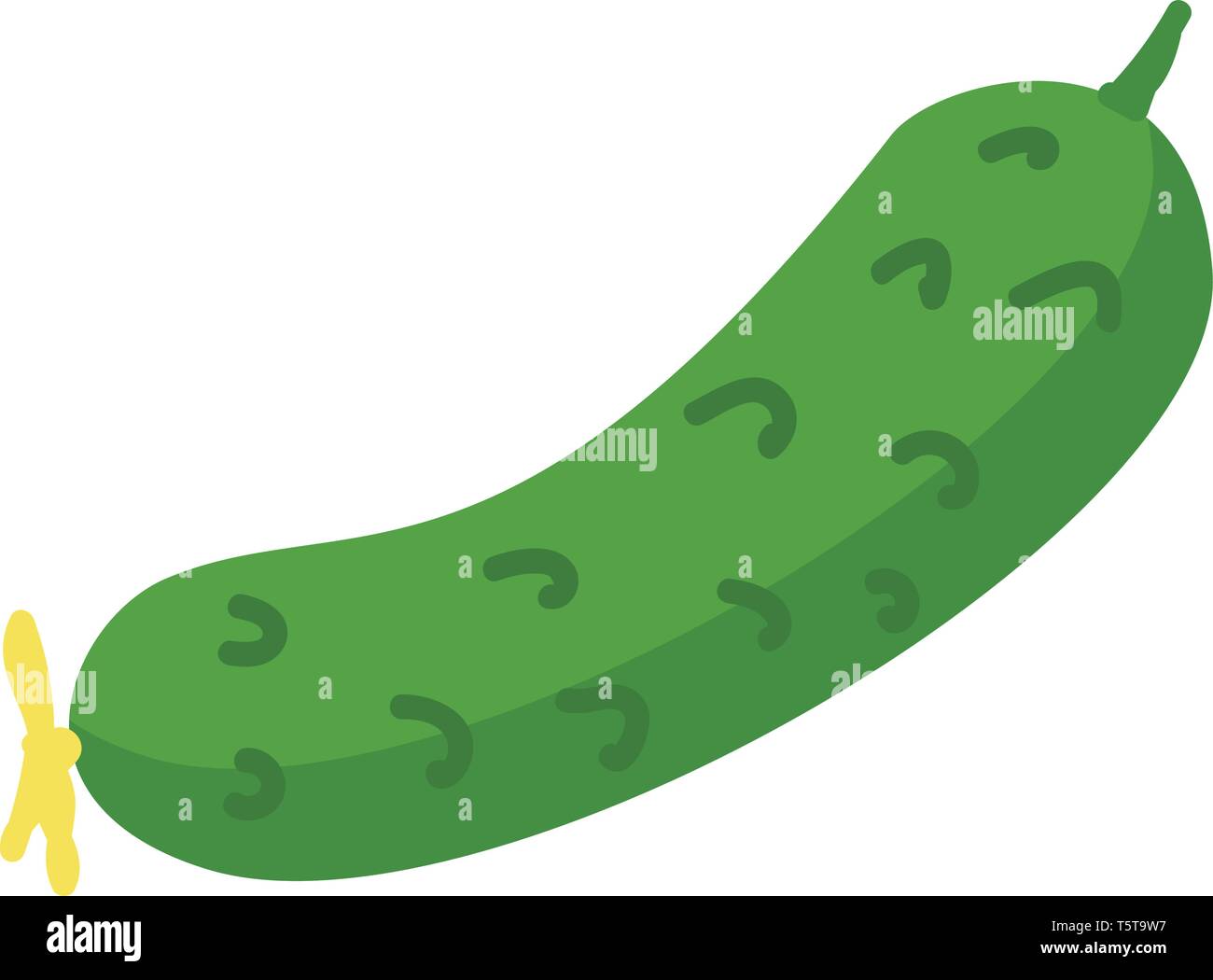 Simple cucumber vector illustration on white background Stock Vector ...