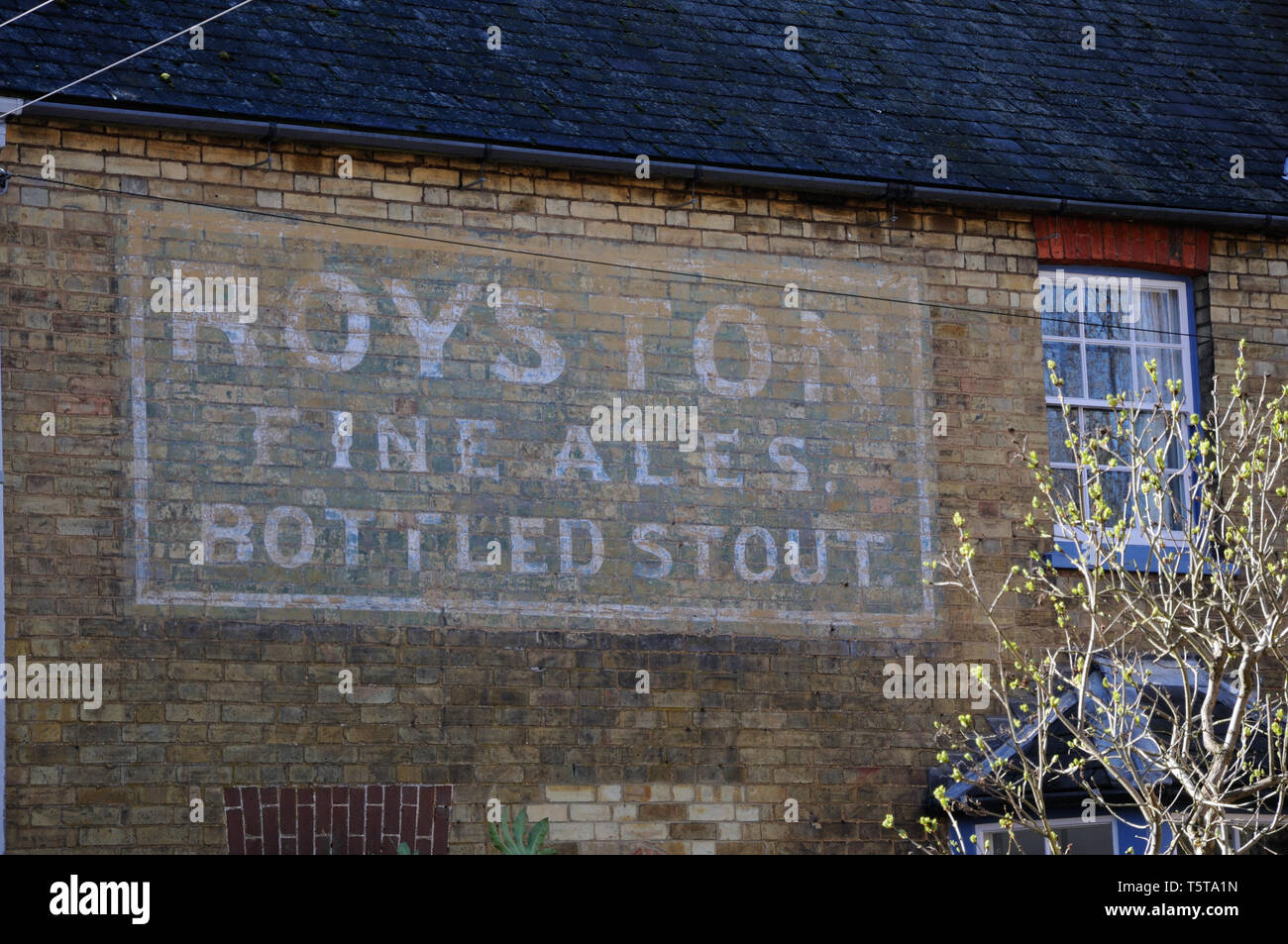 English ales hi-res stock photography and images - Alamy