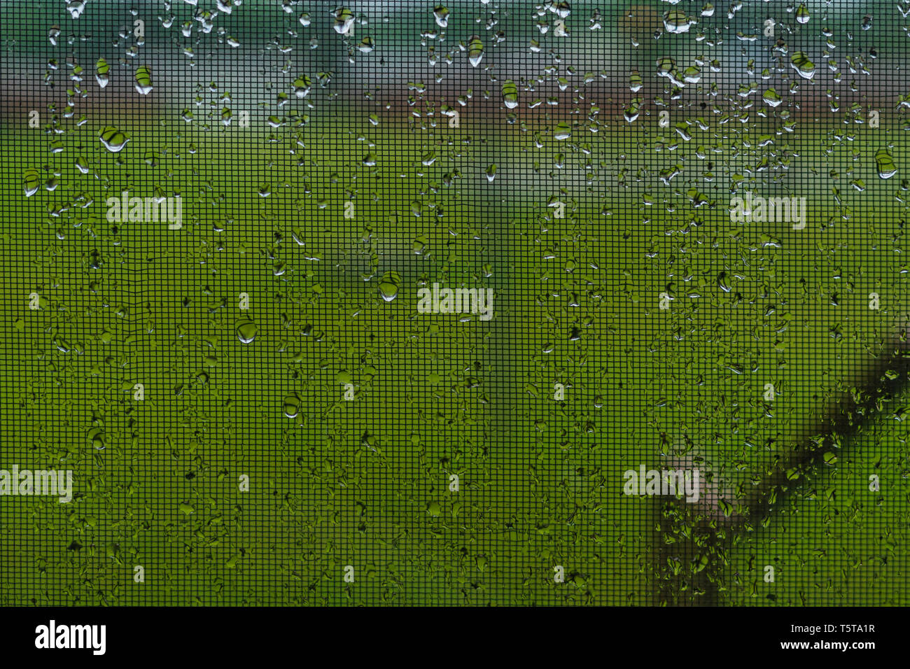 Rain drops create interesting patterns on a window during an otherwise ...