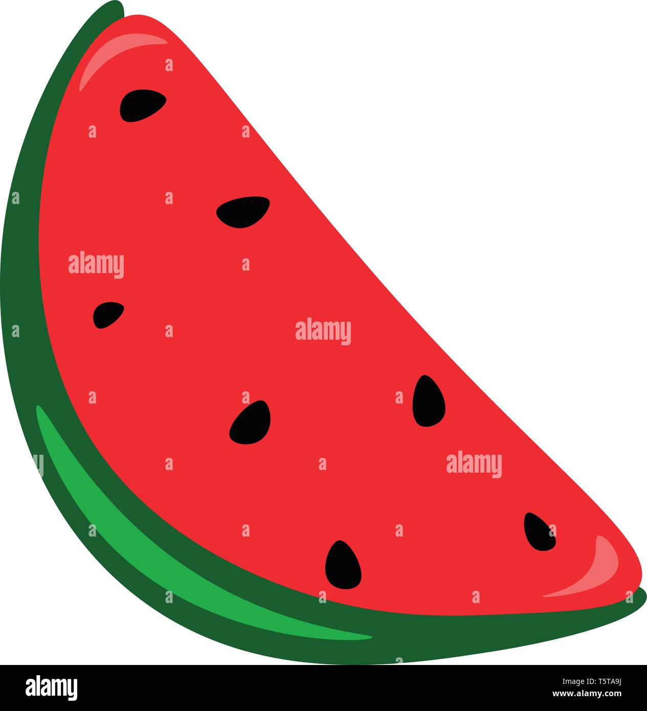Watermelon Seed Vector Vector Watermelon Illustration Adobe