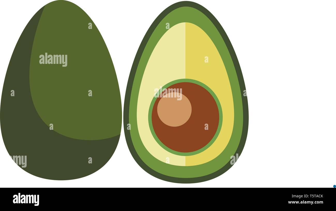 Half cut avocado/Superfood avocado vector or color illustration Stock ...
