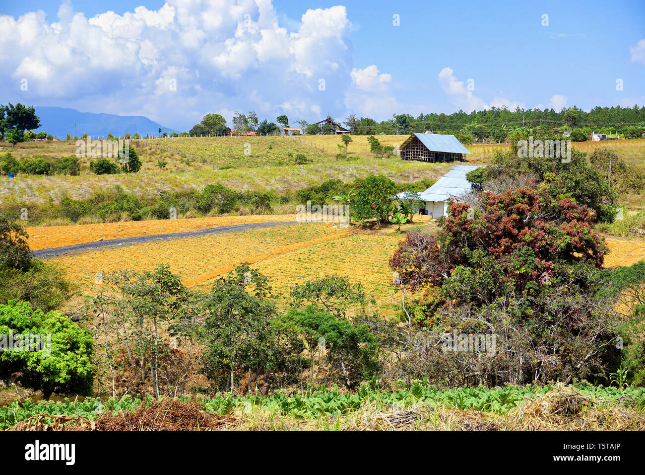 Beautiful view of the countryside in Mesa de los Santos, Colombia Stock ...