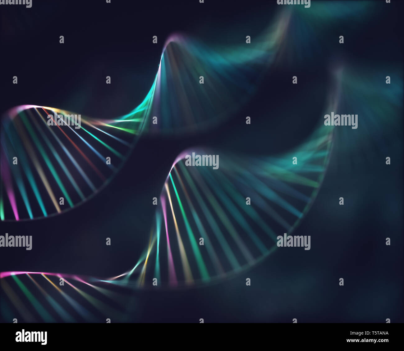 Replication Of Dna Stock Photos & Replication Of Dna Stock Images - Alamy