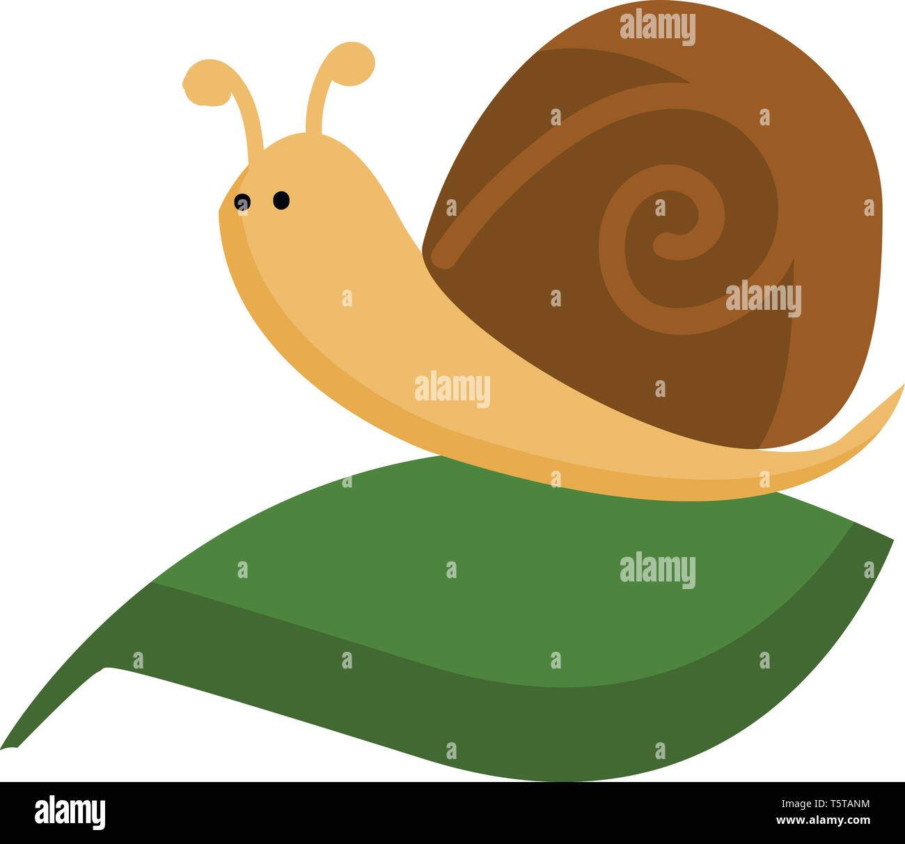 Shell horns Stock Vector Images - Alamy