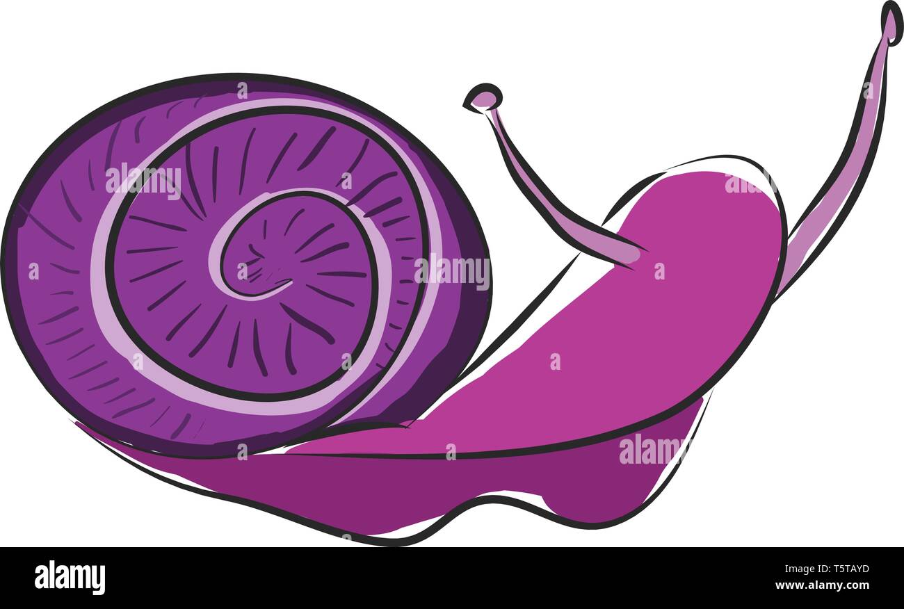 Pink snail vector illustration on white background Stock Vector Image ...