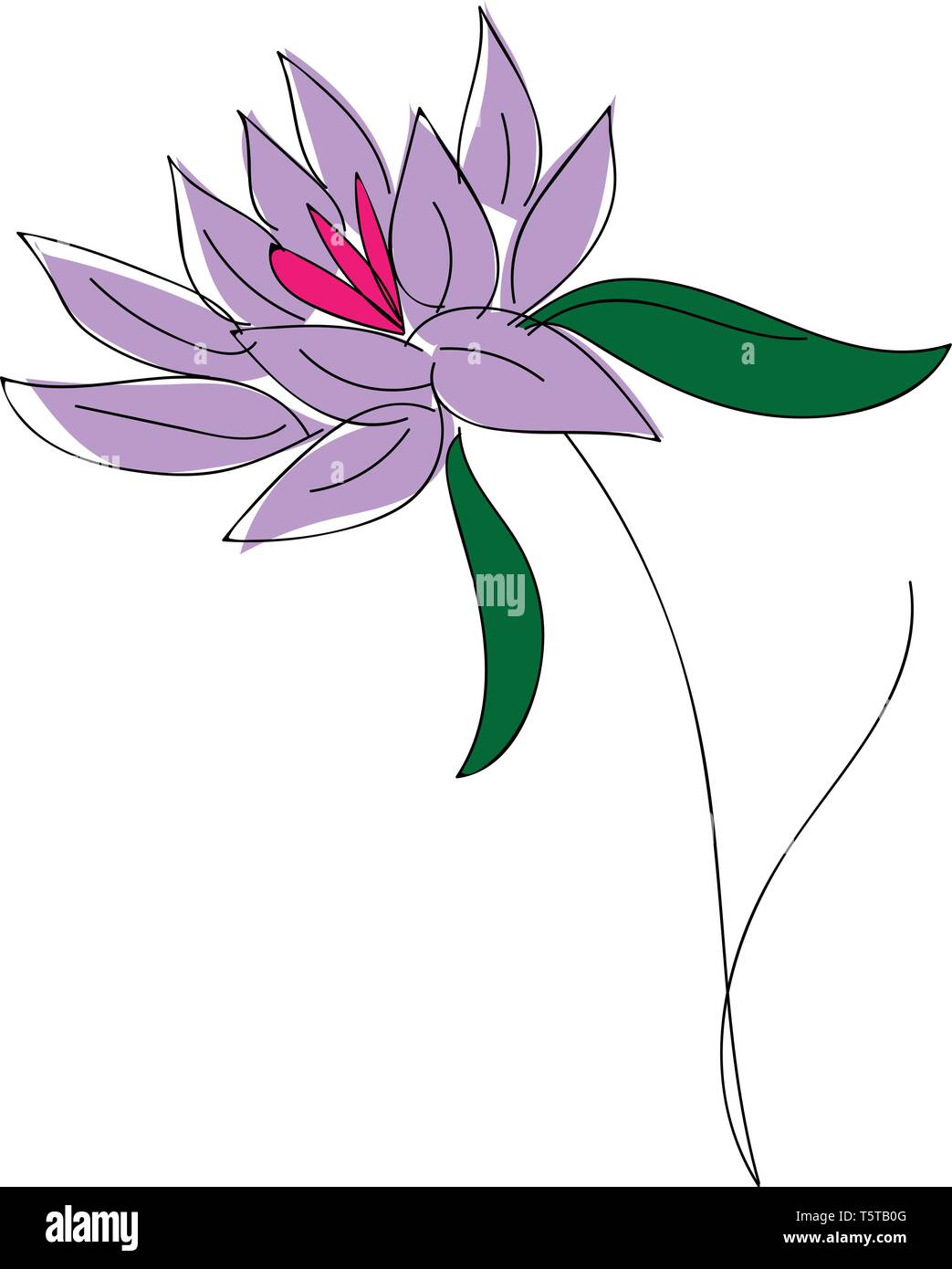 Lilac flower border garden Stock Vector Images - Alamy