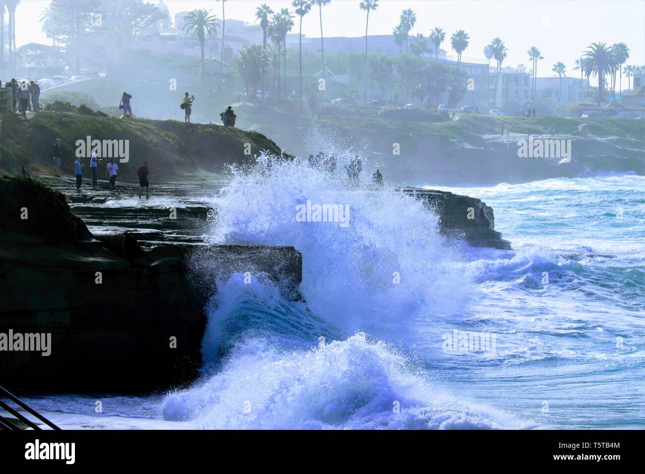 High Tide in La Jolla, CA Stock Photo - Alamy