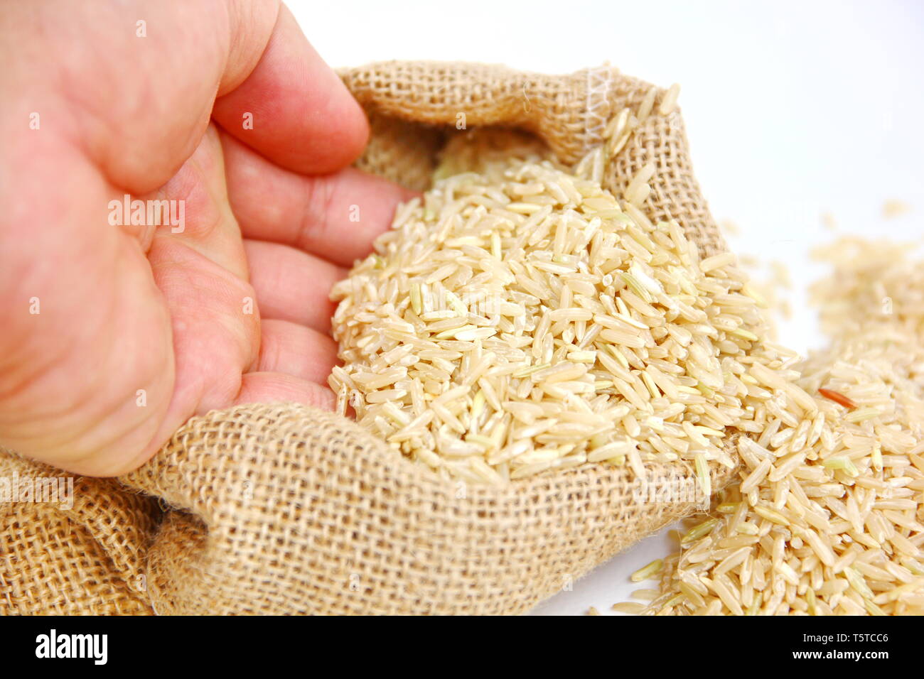 the staff is directly examining rice quality. organic rice on hand ...