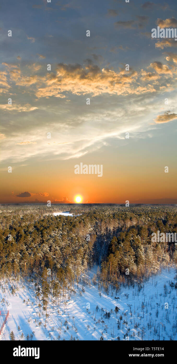 Taiga snow panoramic hi-res stock photography and images - Alamy